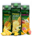 ROTUI – TOUT LE PLAISIR DU FRUIT – Site anniversaire 40 ans Rotui